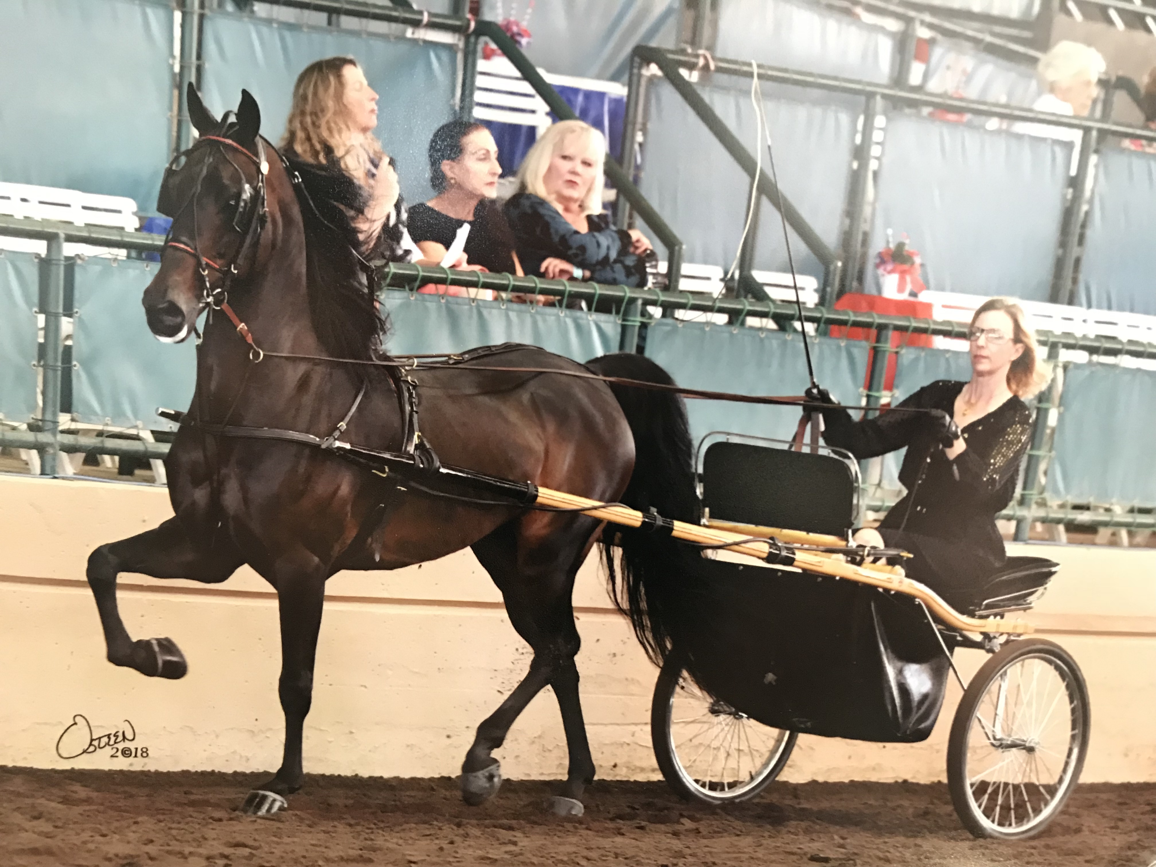 Horse Shows – Rushton Stables, LA