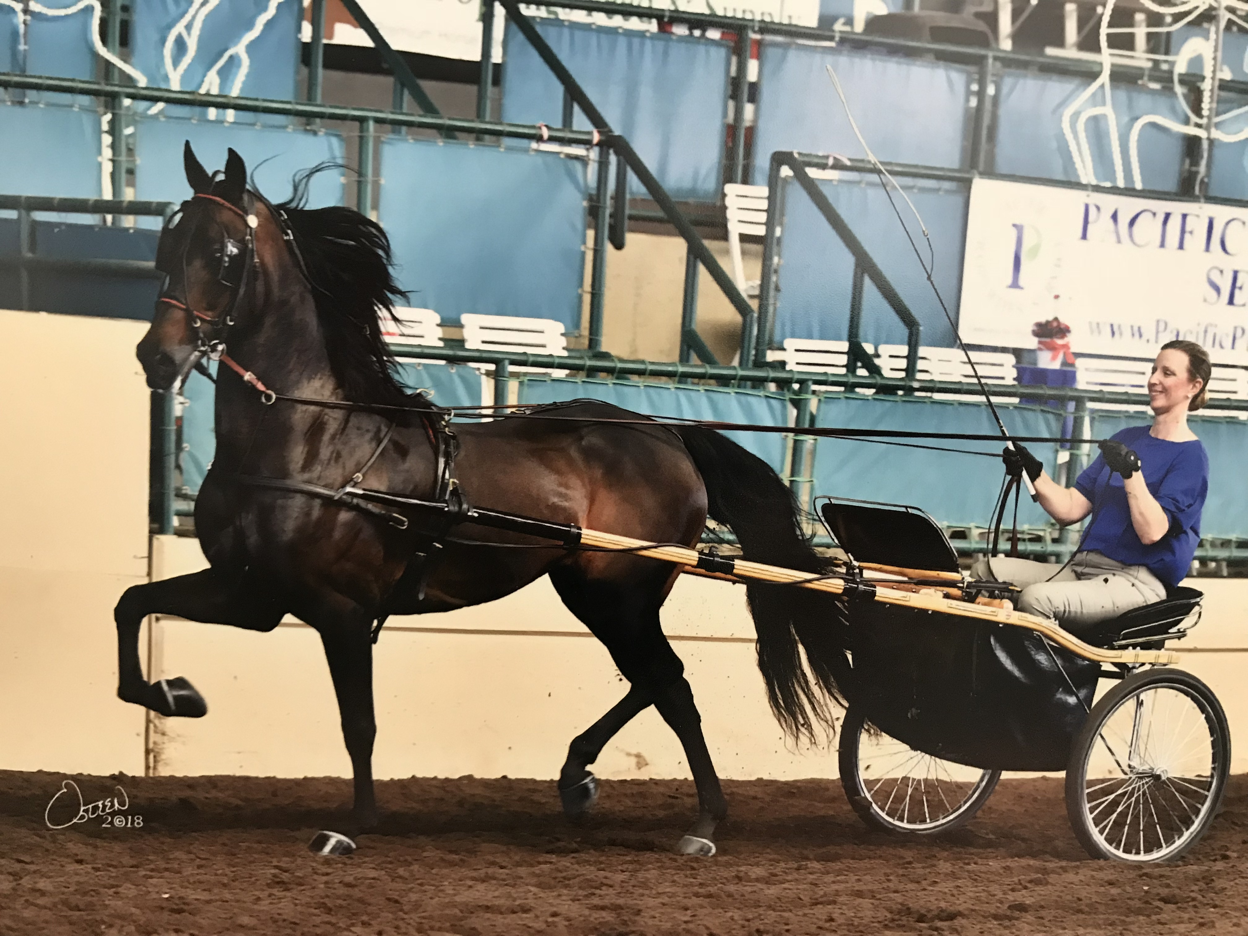 Horse Shows – Rushton Stables, LA